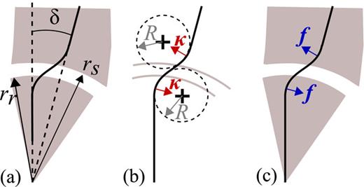 The force density in electrical machines modeled as tension and ...