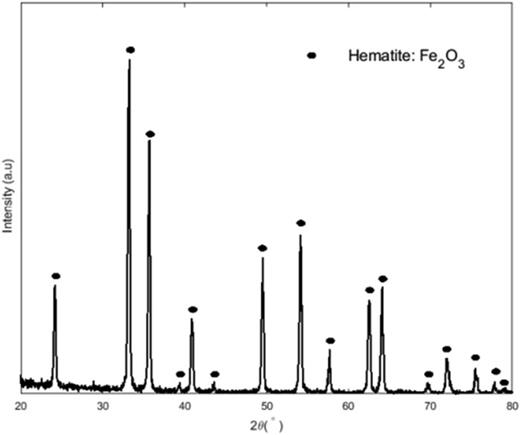 Electrochemical activities of Fe2O3-modified microelectrode for ...