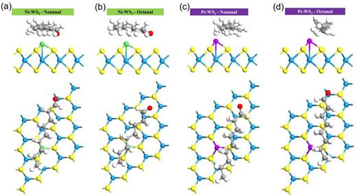 A first-principles investigation on the adsorption of octanal and ...