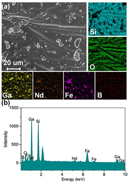 Reprogrammable liquid-metal/NdFeB/silicone composite magnetic elastomer ...