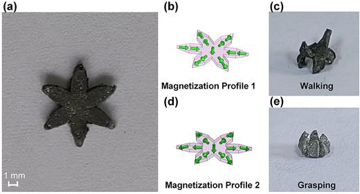 Reprogrammable liquid-metal/NdFeB/silicone composite magnetic elastomer ...