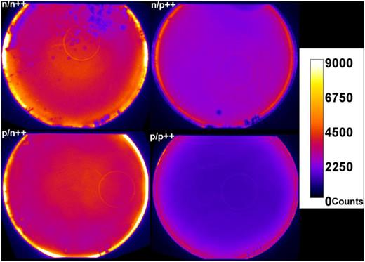 Nature of contaminants introduced in silicon wafers during molecular ...