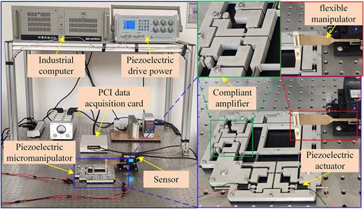 Anti-disturbance control of a piezo-driven micromanipulator with a non ...
