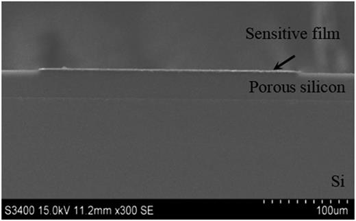 Research on AlN thin film microstructure processing technology based on ...