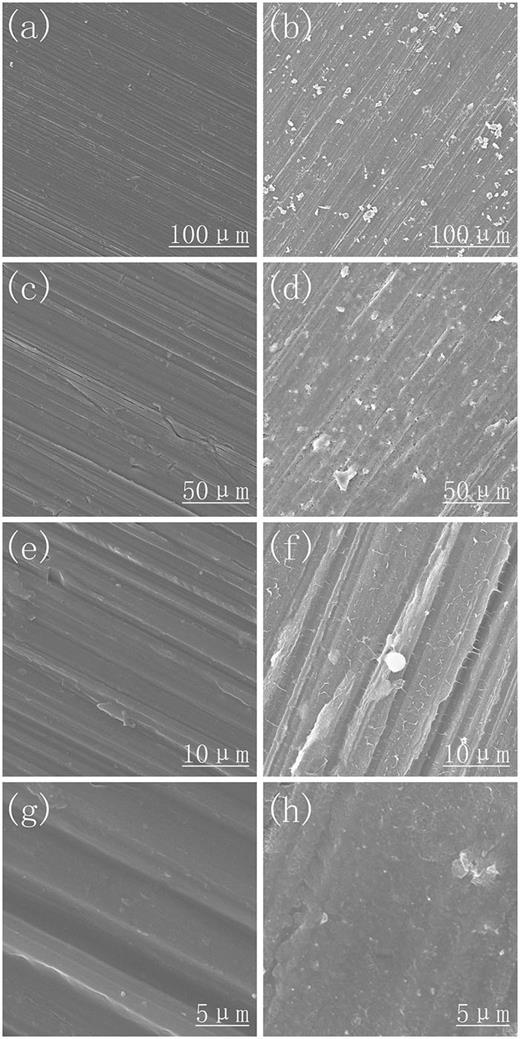 Preparation and performance study of corrosion-resistant surfaces of ...