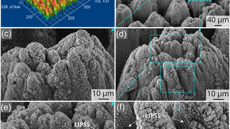 Spatiotemporal dynamics of water film confinement during spreading and ...