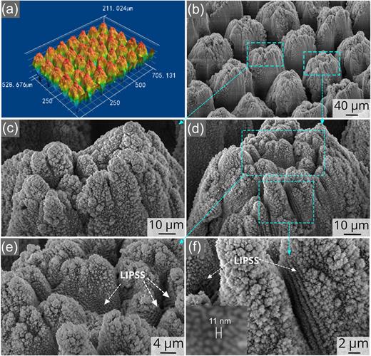 Spatiotemporal dynamics of water film confinement during spreading and ...