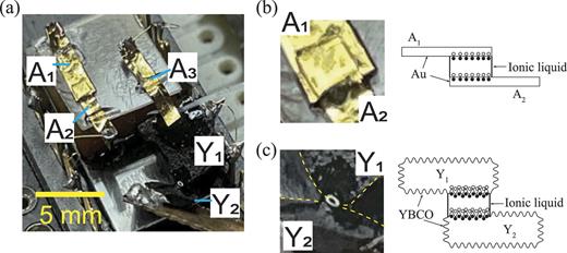 Analysis of capacitance and charge accumulation for an electric double ...