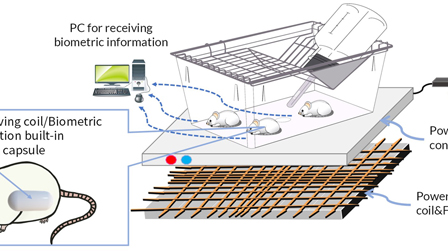 Proposal of a transmitting and receiving coil configuration focusing on ...