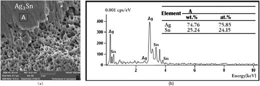 Synthesis and sintering properties of composite nano-Ag–Sn slurry | AIP ...