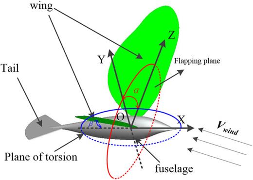 A wind tunnel investigation of the unsteady aerodynamic characteristics ...