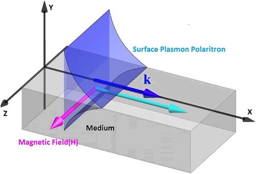 A kinetic treatment of surface plasmon polaritons in the Voigt ...