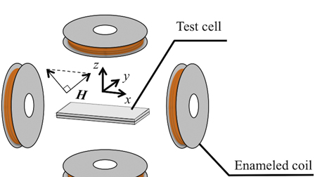 Growth process of clusters formed by paramagnetic microparticles in an ...
