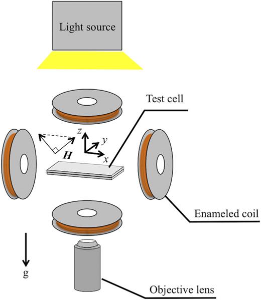 Growth process of clusters formed by paramagnetic microparticles in an ...