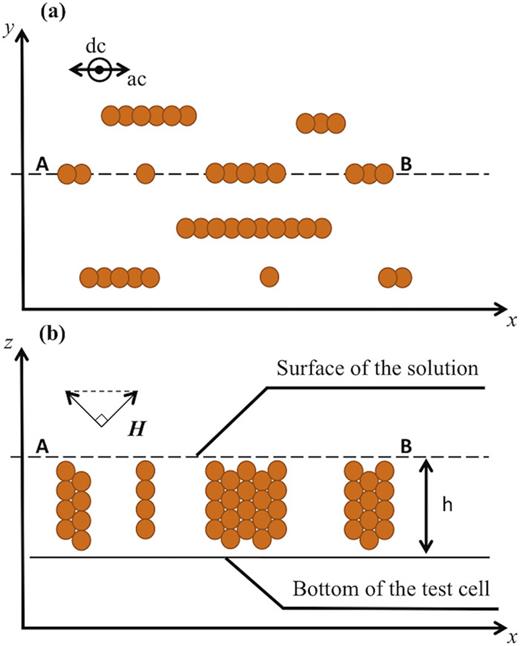 Growth process of clusters formed by paramagnetic microparticles in an ...