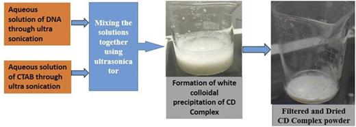 Enhanced adsorption and non-linear optical properties of DNA-CTAB ...