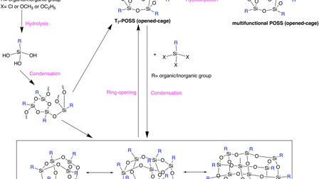 Theoretical analysis of substituent- and cage-dependent electronic ...