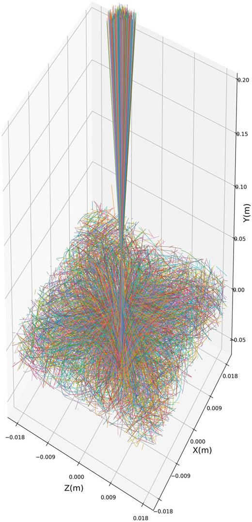 Fast loaded dual species magneto optical trap of cold sodium and ...