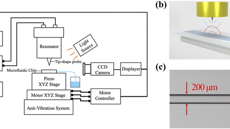 An approach of flow velocity measurement on microfluidic chip by near ...