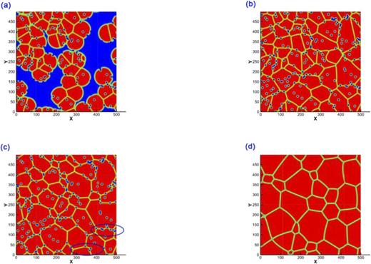 Phase-field modeling of interaction between void and grain boundaries ...