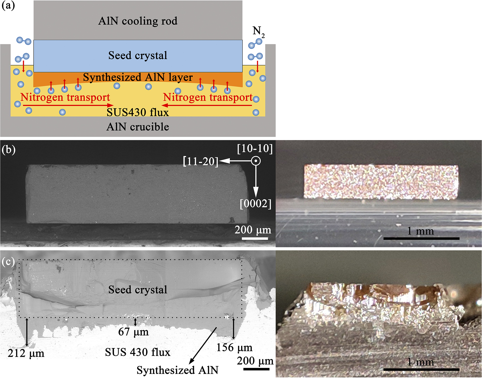 Synthesis of AlN single crystal by solution growth method using type ...