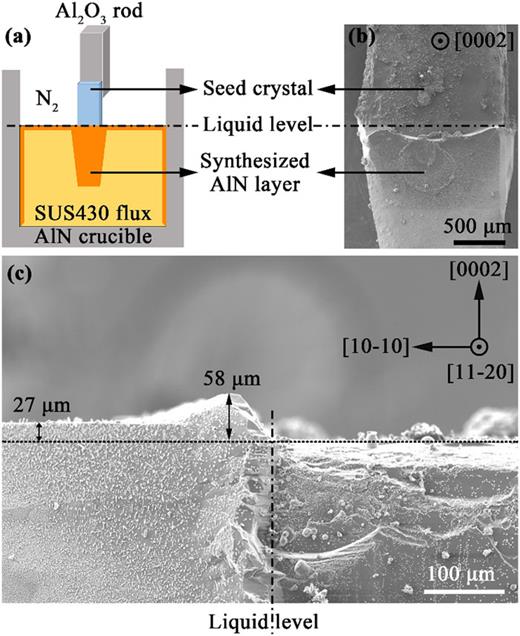 Synthesis of AlN single crystal by solution growth method using type ...