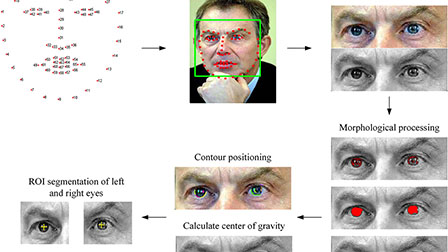 A local optical flow eye-tracking method for depression detection | AIP ...