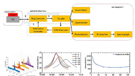 A self-locking structure for quantum dot DFB and FP lasers based on ...