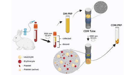 Evaluation of a membrane filter and platelet-rich plasma (PRP) product ...