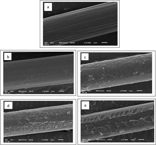 The effects of carbon fiber surface treatment by oxidation process for ...