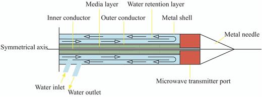 Electromagnetic–thermal field coupling in tissue ablation: The EAES ...