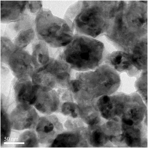 Hard magnetic properties of Fe16N2 magnets | AIP Advances | AIP Publishing