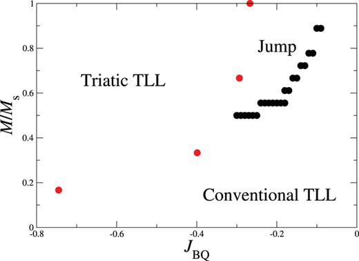 Magnetization process of antiferromagnetic quantum spin chains with the ...