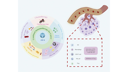Recent advances in immunotherapy-involved combination cancer therapy ...