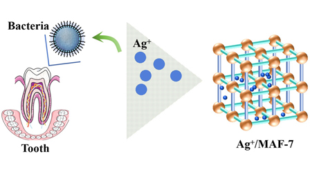 Antibacterial activity of Ag+/MAF-7 nanocomposites against Enterococcus ...