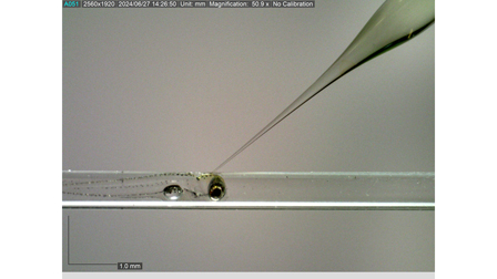 3D manipulation of small multicellular organisms in soft microtubes ...