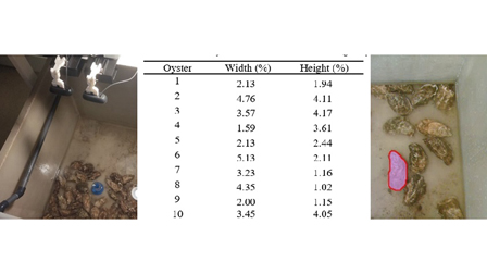 Fast segment anything model applied in a low-cost camera-based system for oyster growth ...