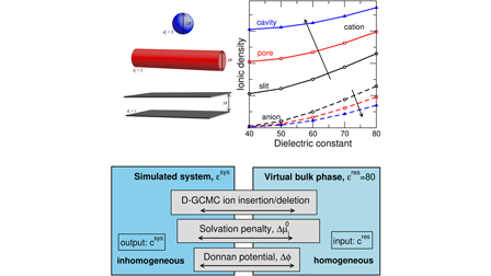 Combined effect of confinement and dielectric exclusion on ion ...
