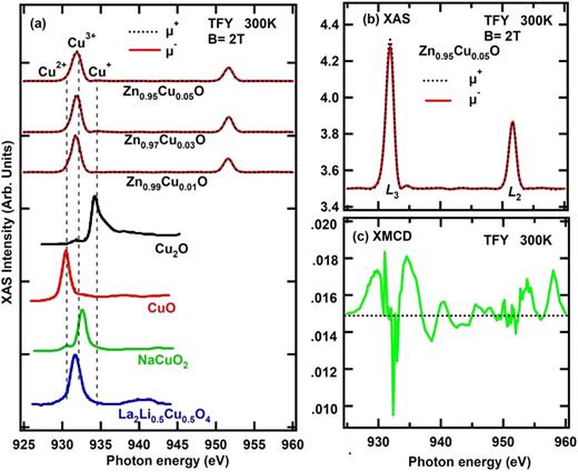 Origin of microscopically coupled ferromagnetic Cu-ions in a distorted ...