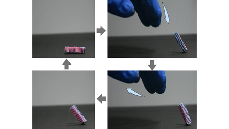 Omega motion, rolling, and active standing of a worm-inspired robot ...
