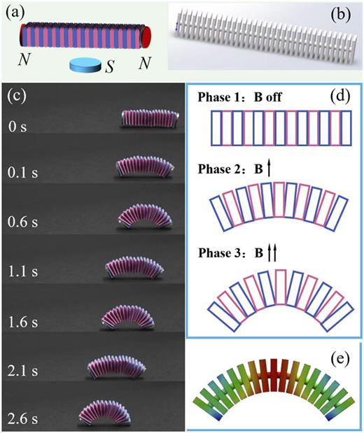 Omega motion, rolling, and active standing of a worm-inspired robot ...