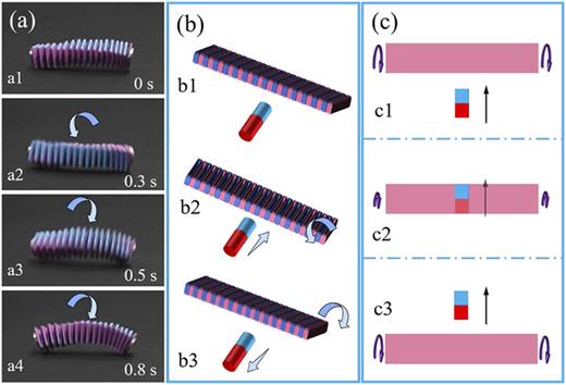 Omega motion, rolling, and active standing of a worm-inspired robot ...