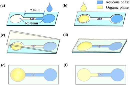 Precise control of liquid–liquid interface position and geometry in ...