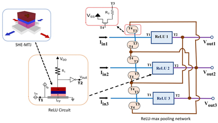 SHE-MTJ based ReLU-max pooling functions for on-chip training of neural ...