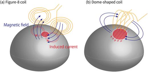 Development of a high-efficiency and wide-irradiation coil for ...