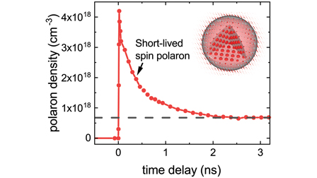 Experimental evidence for ultrashort-lived spin polarons in EuSe | AIP ...