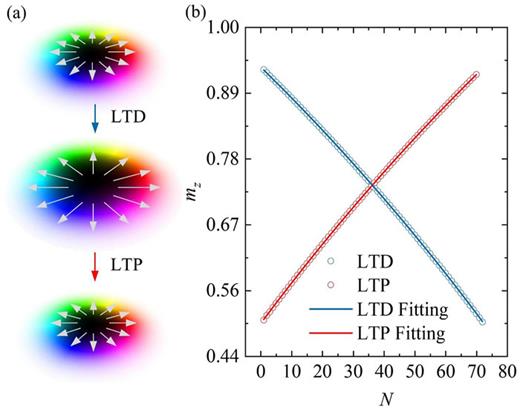 On-chip skyrmion synapse regulated by Oersted field | AIP Advances ...