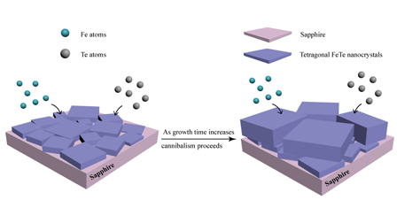 MBE-grown tetragonal FeTe consisting of c-axis-aligned nanocrystals ...