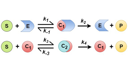 Dynamic behavior of enzyme kinetics cooperative chemical reactions ...