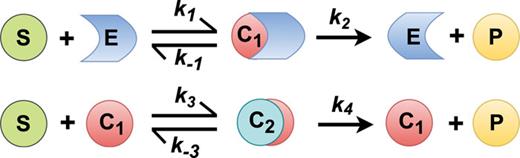 Dynamic behavior of enzyme kinetics cooperative chemical reactions ...